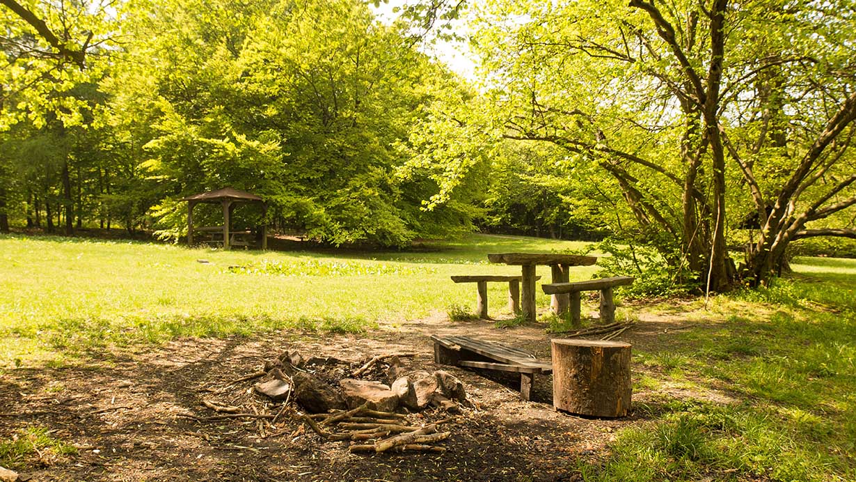 Kujné pikle | Ohniská